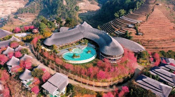 Garrya Mù Cang Chải - Tỉnh Sơn La