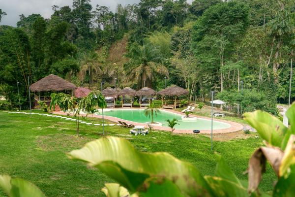 Glamping Las Palmas Finca - Équateur