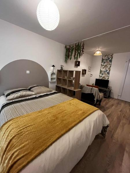 Studio Cosy Dans Le Cœur De Castelsarrasin - Castelsarrasin