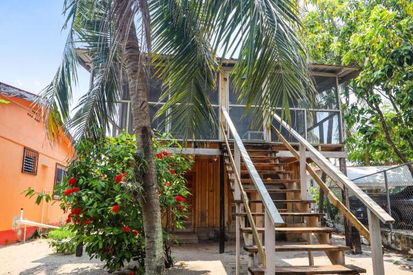 Snook At Carol's Cabanas -Gold Standard Certified - Belize