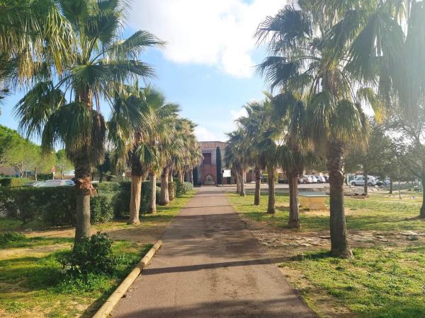 Maison L'olivier - Lunel