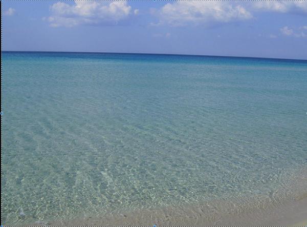 Posidonia - Campomarino