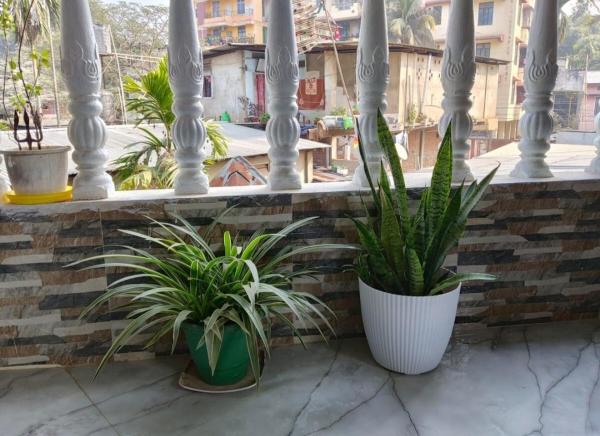 Ana Homestay - 구와하티