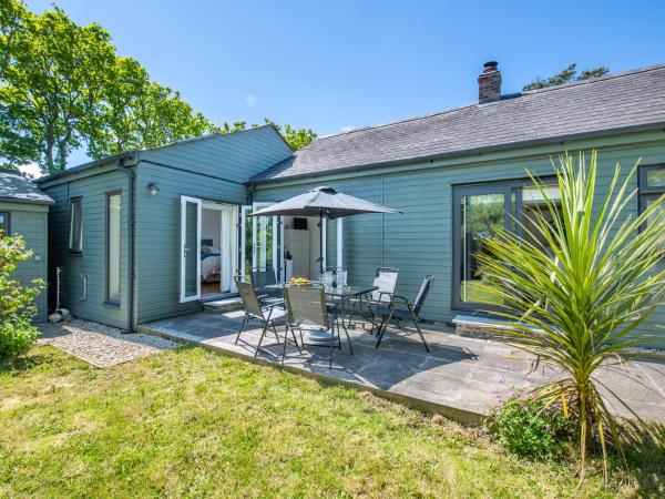 Bay Tree - Crackington Haven