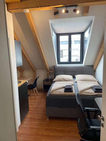 Modernes Und Helles Apartment Vs - Schwarzwald