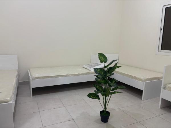 Al Ameen Bunk Beds - Doha