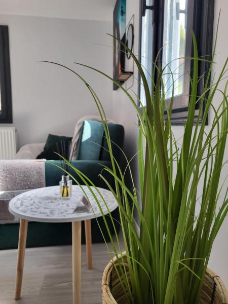 Căsuța Piticilor - Suceava