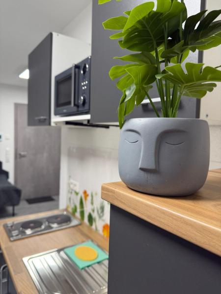 Ruhige Apartments An Der Donau - Schwaben Living - Ehingen