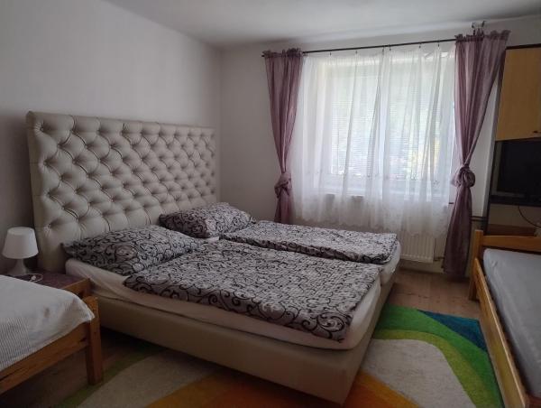 Apartmán Sofie - Kolín