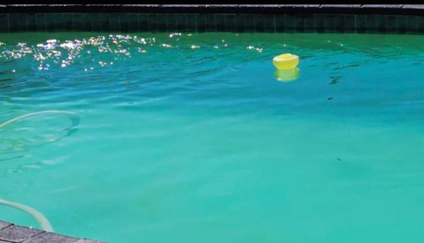 Tranquil Stay And Venue In The Heart Of Ixopo - Ixopo