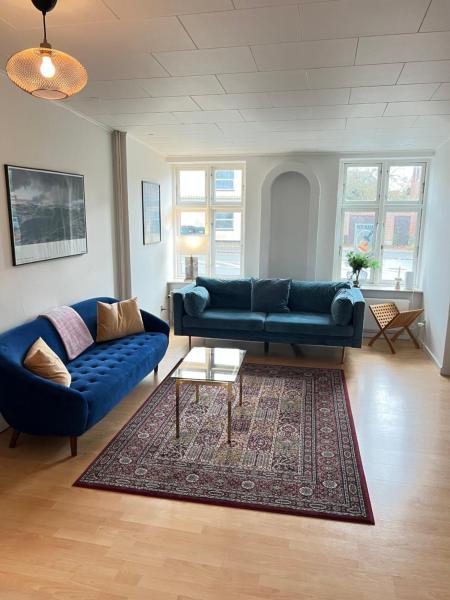 Spacious Apartment Near City & ÅLøkke Forest - Odense