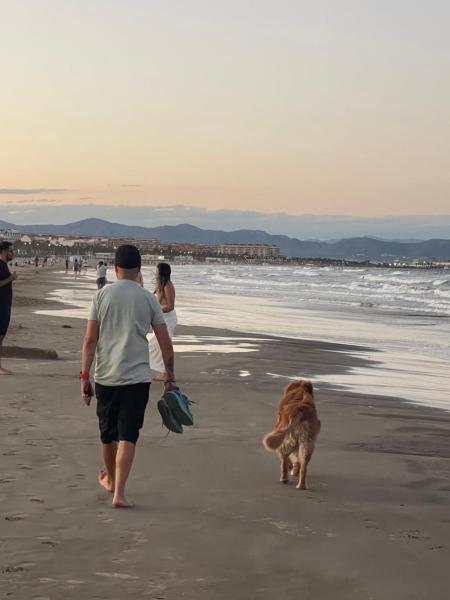 Room Close Sea Metro And Ciutat De Les Arts I Les Ciències - Valencia