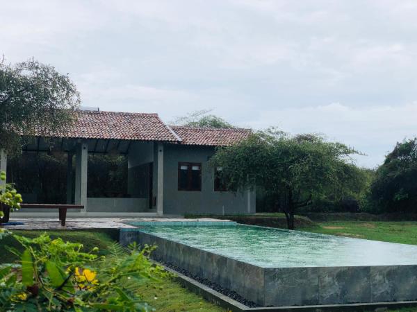 Wild Loch Yala - Sri Lanka