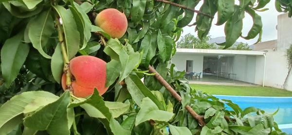 El Recodo - La Rioja