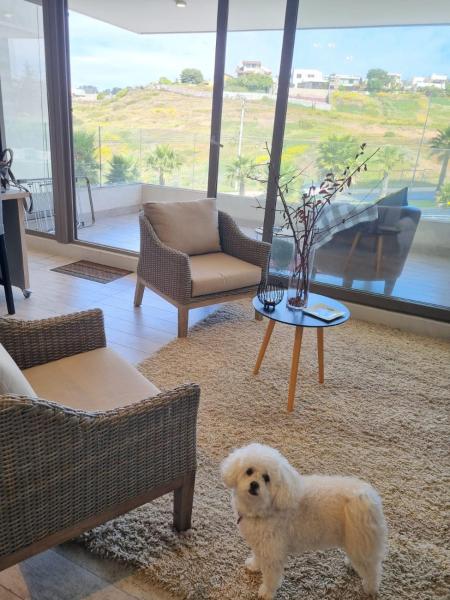 Acogedor Y Moderno Apartamento Cerca De Dunas Y Playa En Con Con - Concón