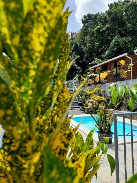 Gîte Ti Roucou - Parc national de la Guadeloupe