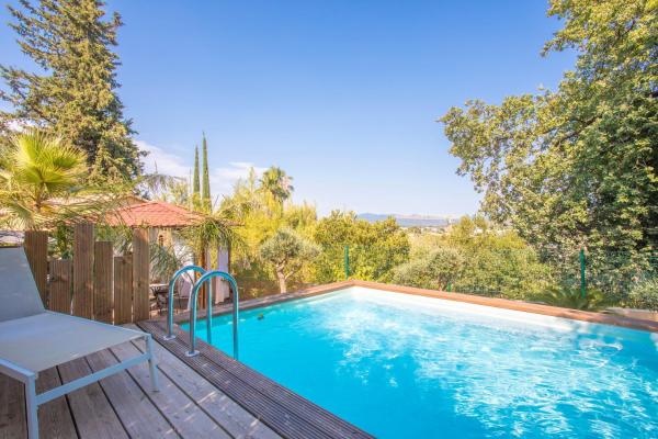 Palmiers En Couleurs - Toulon