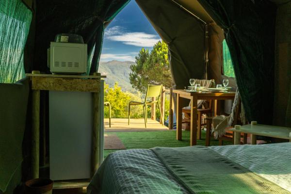 Safari Glamping Portugal Parrot - Région Nord