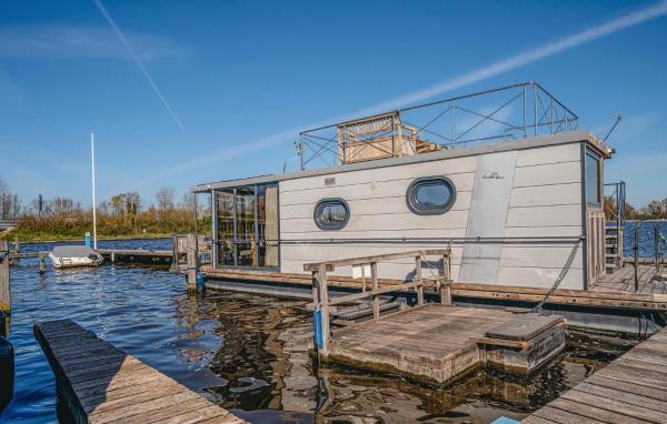 Fuut Campi - Alkmaar