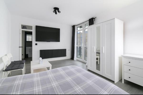 Cozy Shoreditch Studio Apartment - London