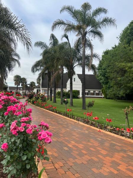 Madeley House Unit 3 Near Oliver Tambo Airport - Boksburg