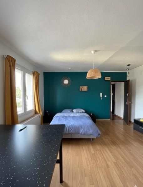 Torino - Séjour Cosy Et Harmonieux - Sarrebourg