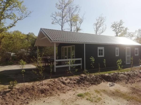 Comfortable Forest Lodge With Open Space - Hoogeveen