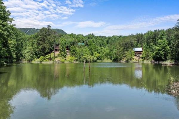 Cozy Cabin, Bed Swing, Arcade Game, Hot Tub - Pigeon Forge, TN