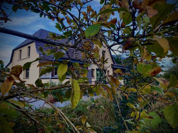 Haus Stenzinger - Burg