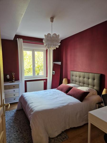 Cosy Appartement Complet Centre-ville Montbéliard - Montbéliard