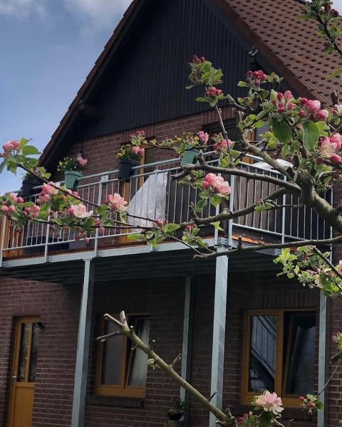 Ferienwohnung Kalle - Neuhaus