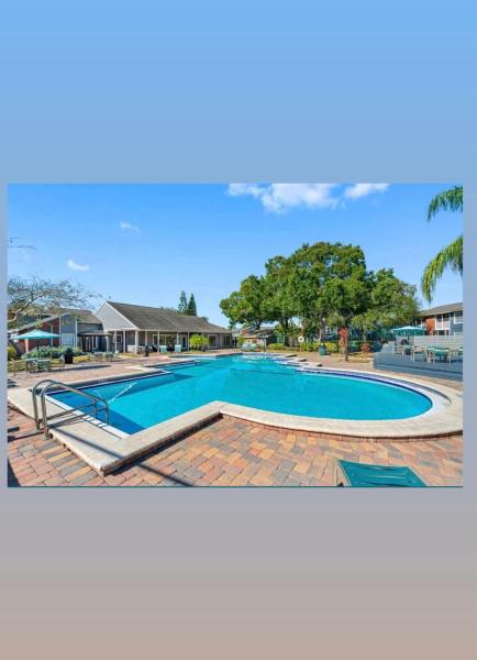 Comfortable Apartment Entirely By The Lake - 탬파 만