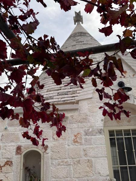 Trulli La Quercia Del Nonno - Locorotondo