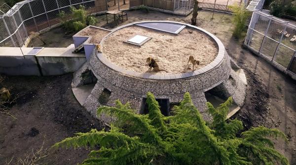 Night Experience - Lodge By Zoo Bordeaux Pessac - Pessac