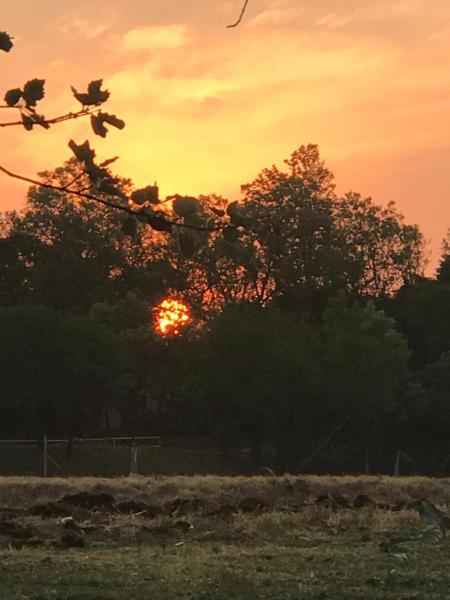 Sunset Sunrise Country Farm - Magaliesburg