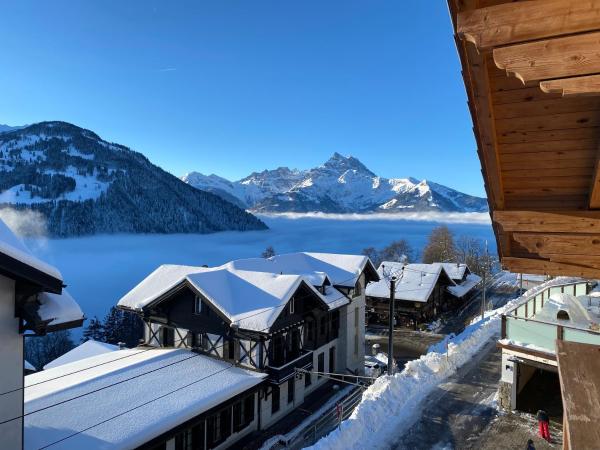 Chalet L'adret, 3,5 Pièces Dans Les Combles. - Les Diablerets