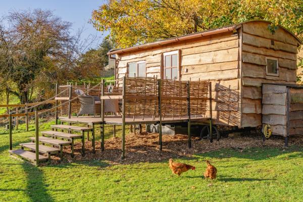 The Cosy Goose - Wiltshire