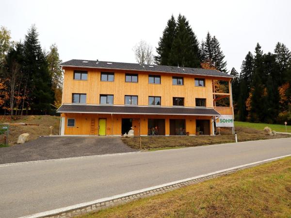 Dog-friendly Holiday Apartment In Bregenzerwald - Mellau