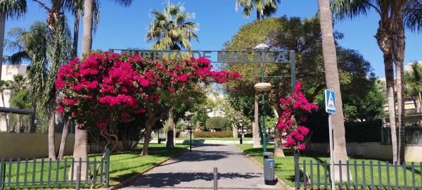 Málaga La Bella - Málaga