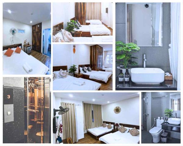 Thủy Tiên-thạch Thảo - Dalat