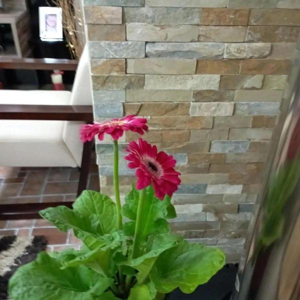 Casa Chiloe Castro - Castro