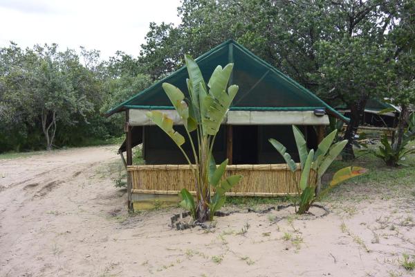 Amangwane Tented Camp - Manguzi