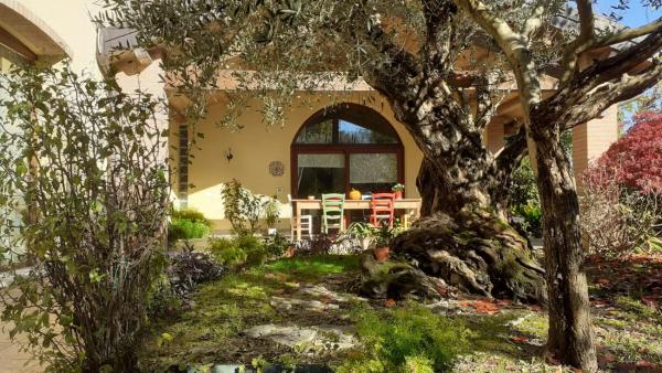 "A Casa Di Jolanda" A Green Escape Near Venice - Mira, Italy