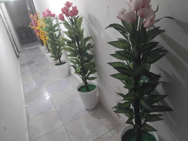 قسنطنة - Constantine