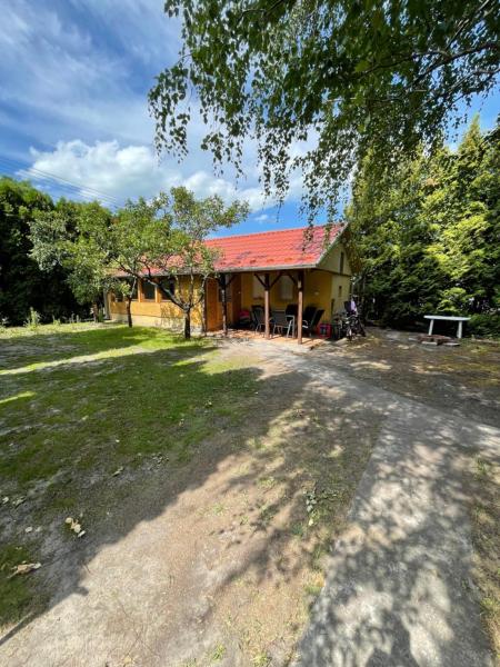 Fenyvesi Kuckó - Balatonfenyves