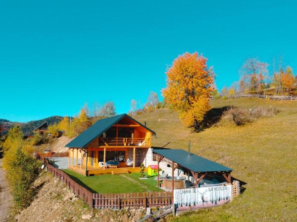 Cabana De Sub Mesteceni - Romania