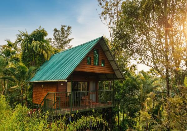 Kedara Resort Wayanad Pet Friendly With Pool - Karnataka