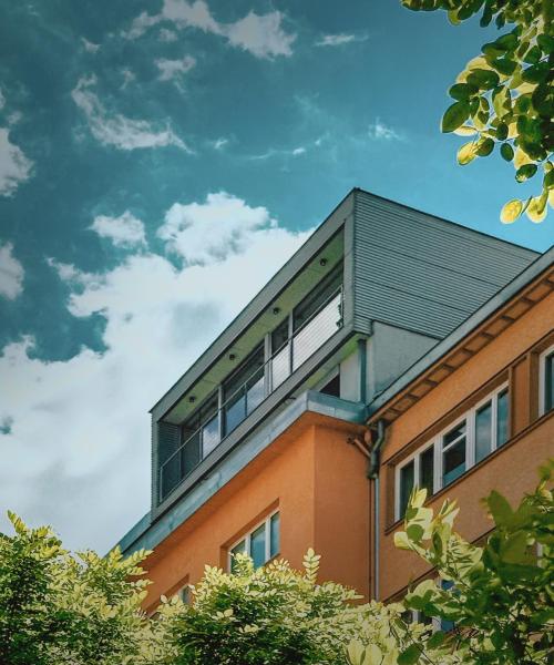 The Silver Top By Homester - Brno