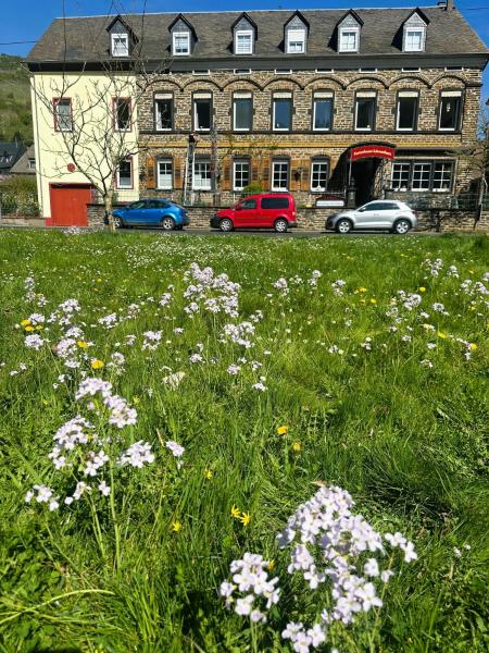Ferienhaus Löwenherz - Kastellaun