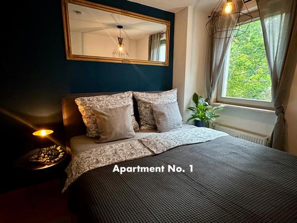 Ruhig & Terrasse Dresden-altstadt 3-zimmer Wohnungen - Dresde